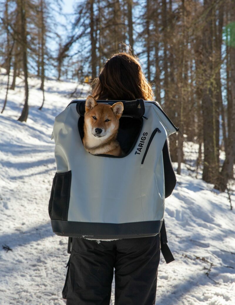 TARIGS Dog Backpack by TARIGS | Various models