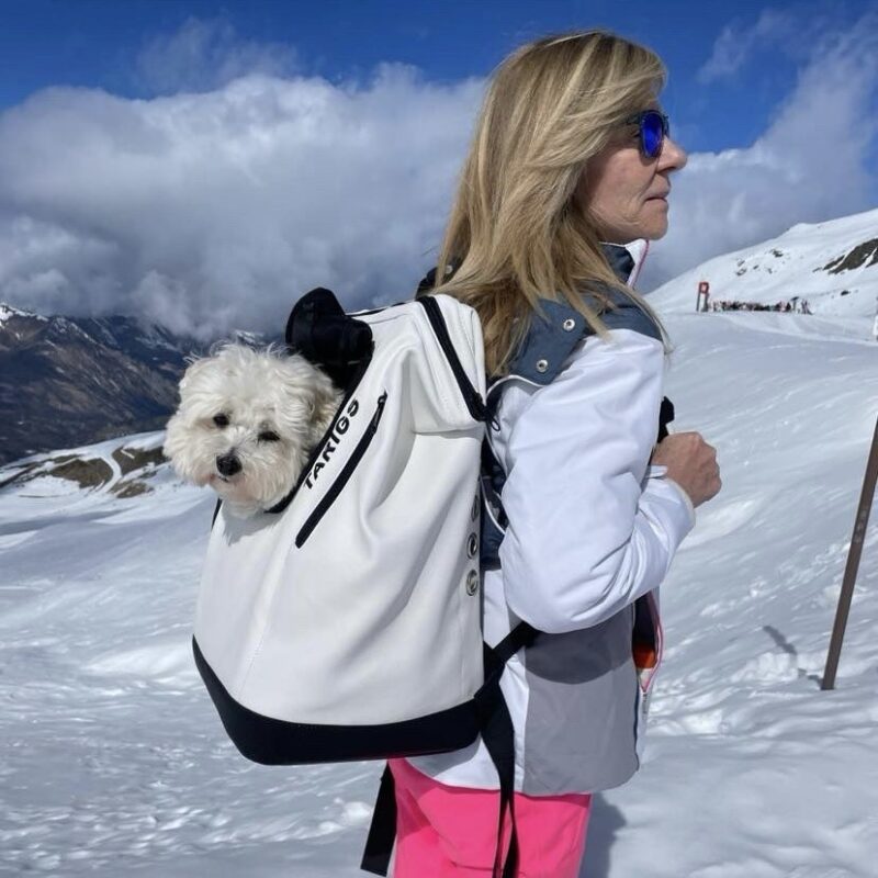 Hiking backpack for dogs up to 20 kg at TARIGS | The original